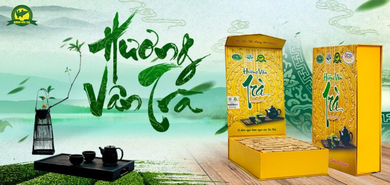 Hương Vân Trà - Tinh Túy Vị Trà Xanh Thái Nguyên Việt Nam