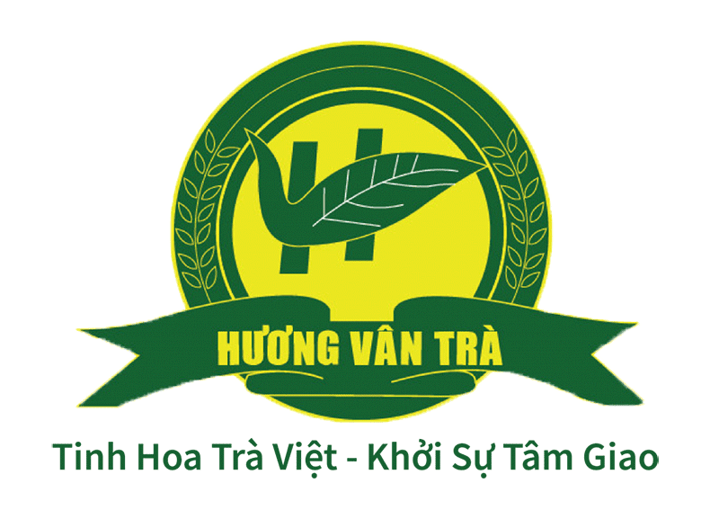 Hương Vân Trà - Tinh Túy Vị Trà Xanh Thái Nguyên Việt Nam
